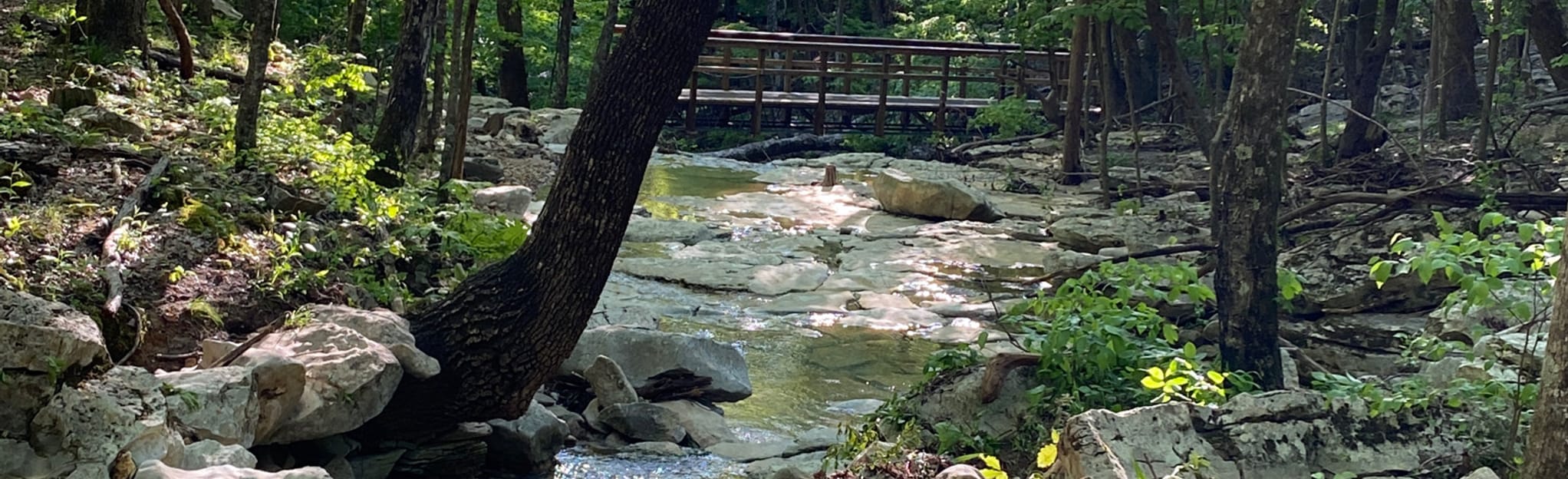 Jones Valley Loop Trail, Alabama - 277 Reviews, Map | AllTrails