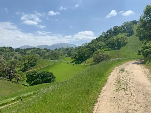 Best 10 Hiking Trails in Shell Ridge Open Space | AllTrails