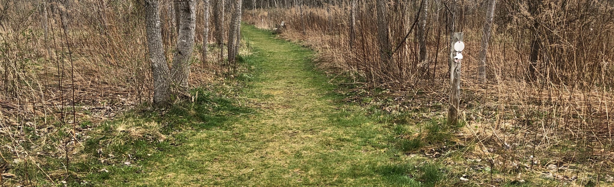 Sherbourne Park Nature Trail: 38 Reviews, Map - New York | AllTrails