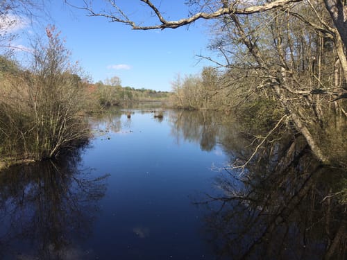 Best Hikes and Trails in Lums Pond State Park | AllTrails
