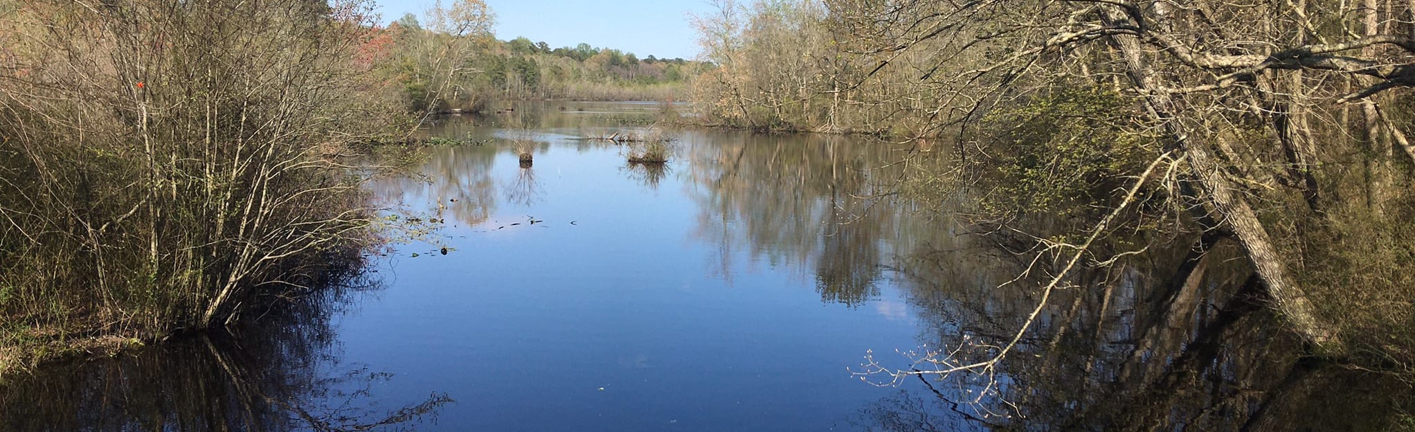 Killens Pond Loop Trail | Map, Guide - Delaware | AllTrails