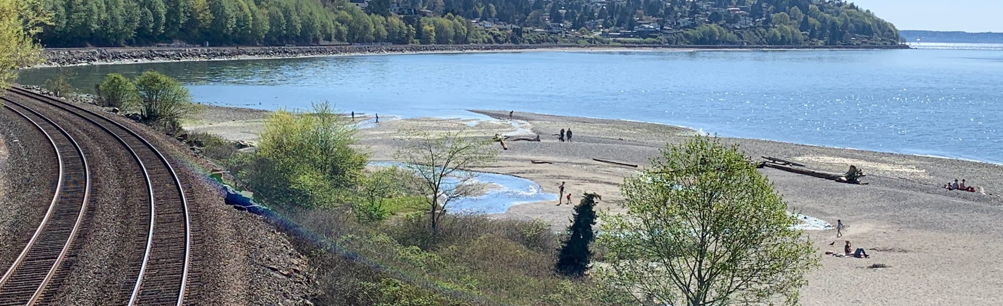 Piper's Creek Trail, Washington - 431 Reviews, Map | AllTrails