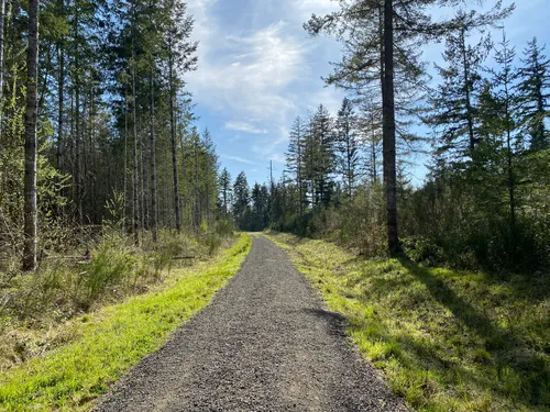 10 Best Trails and Hikes in Gig Harbor | AllTrails