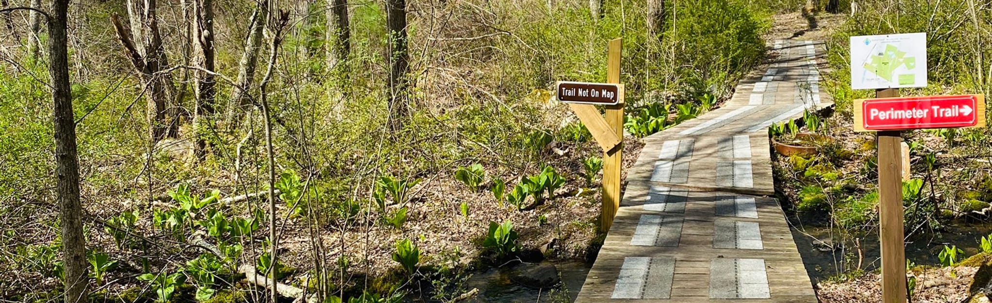 Caratunk Wildlife Refuge Perimeter Trail, Massachusetts - 673 Reviews ...