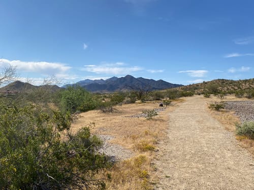 Estrella Mountain Regional Park: Die besten leichten Routen in 2023 ...