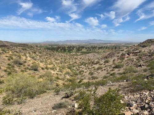 10 Best Hikes and Trails in Estrella Mountain Regional Park | AllTrails