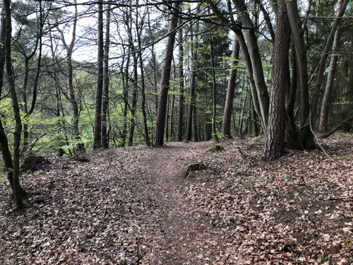 Best Camping Trails in Consdorf | AllTrails