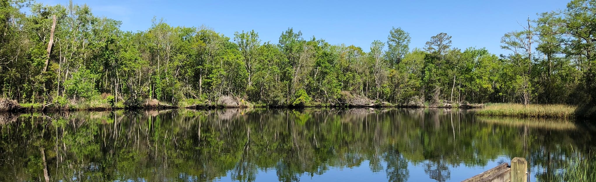 White Oak River, North Carolina - 19 Reviews, Map | AllTrails