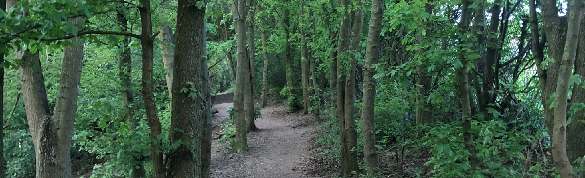 Fifth Avenue Recreation Ground and Bunny Walk Circular, 160 Photos ...