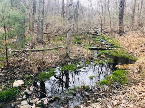 Best Hikes and Trails in Amy Gordon Taft Reservation | AllTrails