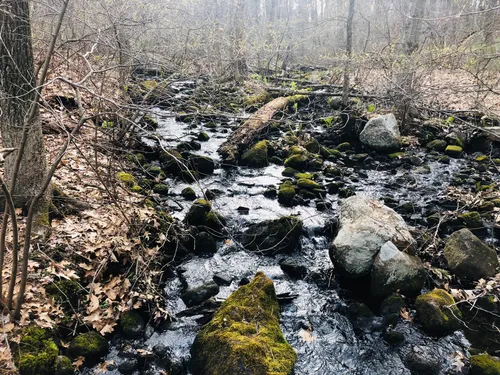 Best Hikes and Trails in Amy Gordon Taft Reservation | AllTrails