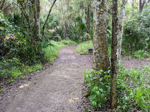 Best Hikes and Trails in Winter Springs | AllTrails