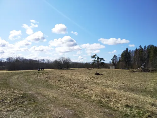 2023 Best 10 Beach Trails in Harju | AllTrails