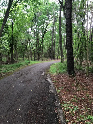 Best Hikes and Trails in Addicks Reservoir | AllTrails