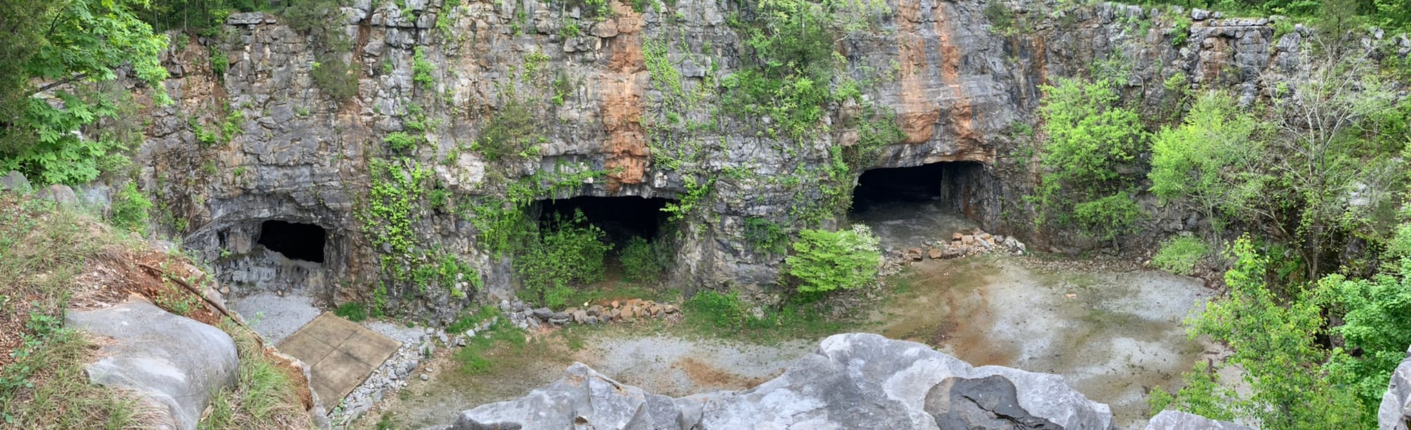 Monte Sano Waterline Trail: 277 Reviews, Map - Alabama | AllTrails