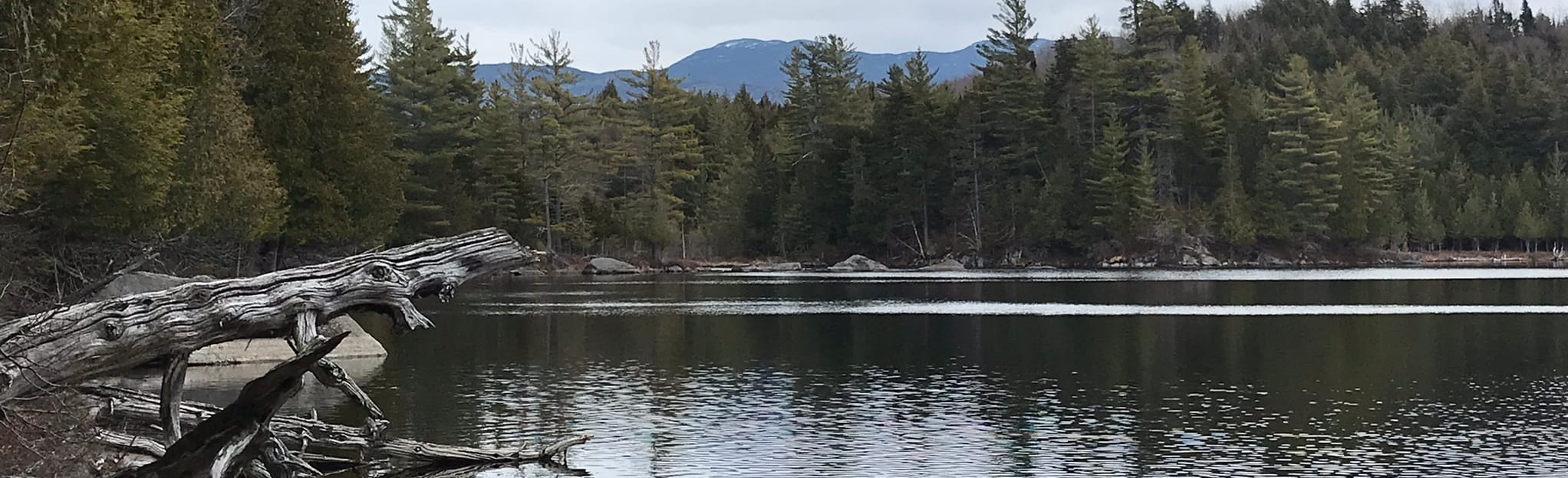 Rock Pond: 14 Reviews, Map - New York | AllTrails