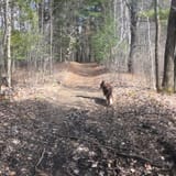 Limerick Forest: Forsythe South, Ontario, Canada - 51 Reviews, Map ...