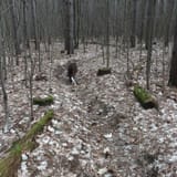 Limerick Forest: Forsythe South, Ontario, Canada - 51 Reviews, Map ...