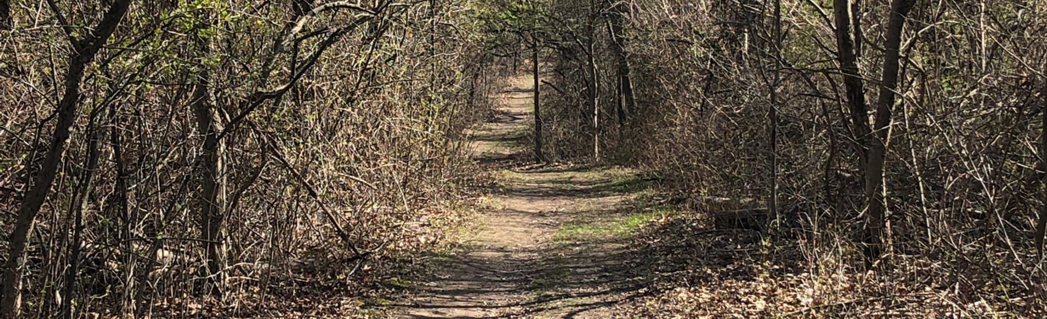 AllTrails | Ortonville State Recreation Area Bloomer Trails Loop: 214 ...