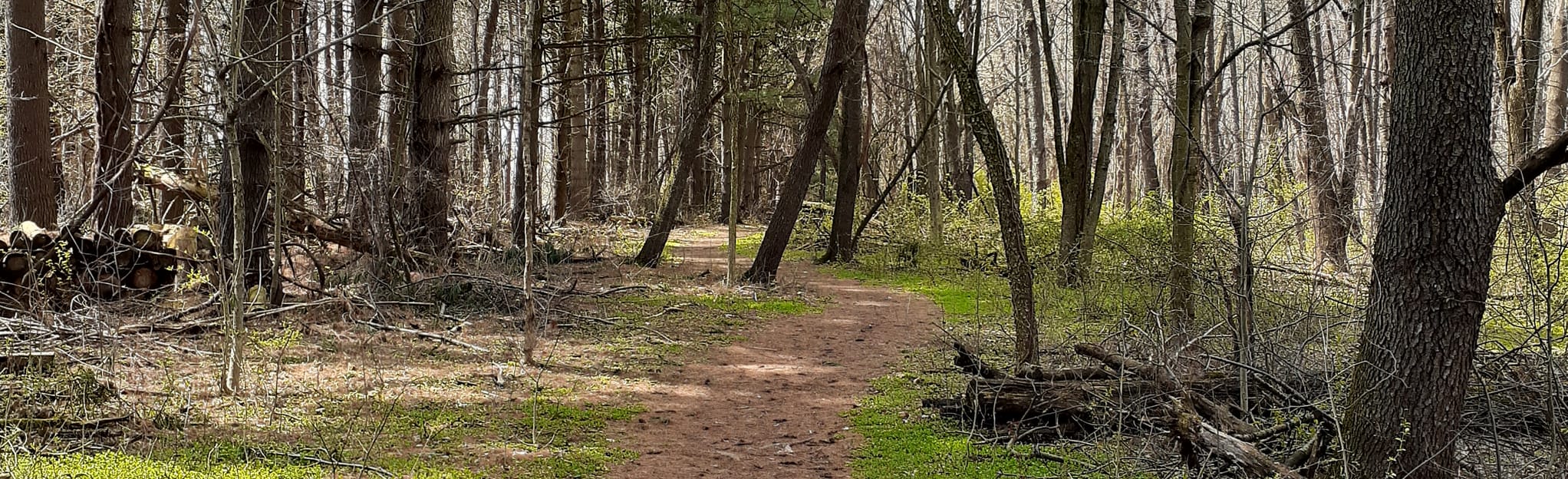 Shoreline Long Loop: 307 Reviews, Map - Ohio | AllTrails