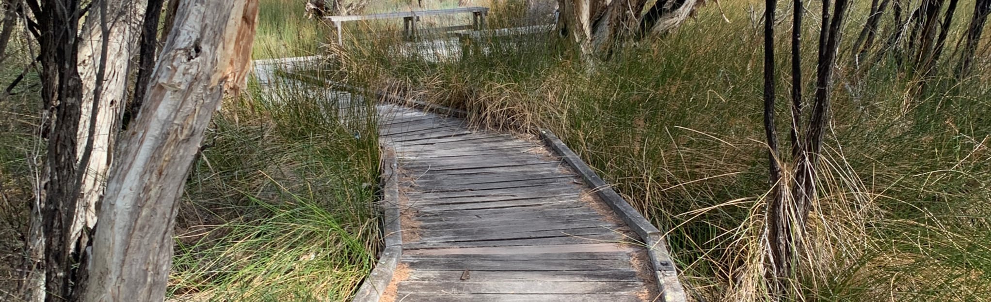 Len Howard Conservation Park Trail, Western Australia, Australia - 100 ...