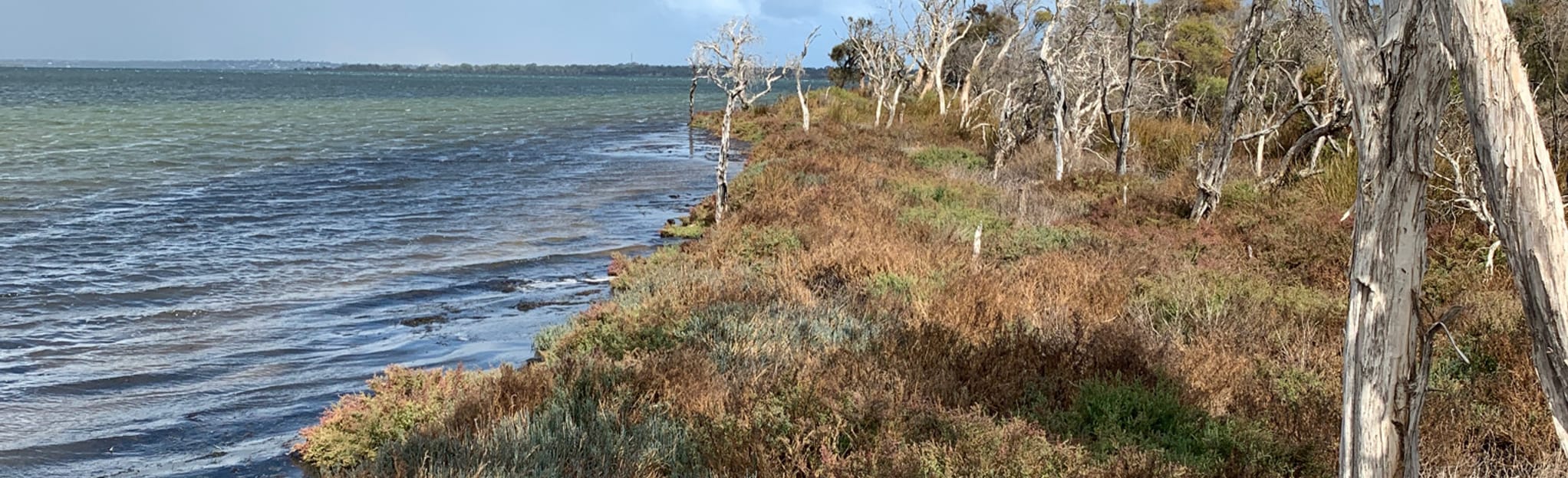 Nature Walk Trail, Western Australia, Australia - 13 Reviews, Map ...
