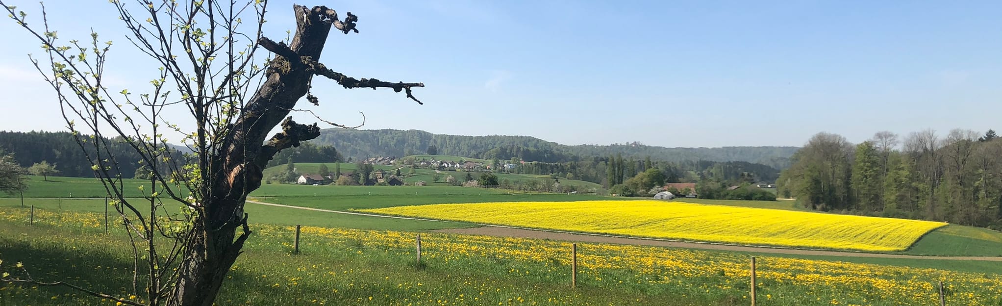 Winterthur-Seen - Eidberg, Zurich, Switzerland - Map, Guide | AllTrails