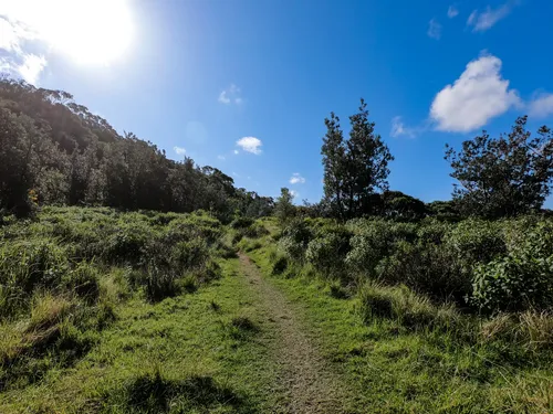 10 Best Hikes and Trails in Illawarra Escarpment State Conservation ...