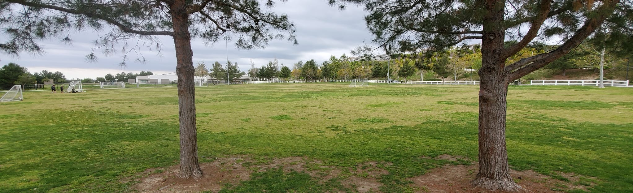 Vista Del Verde Park Loop: 17 Reviews, Map - California | AllTrails