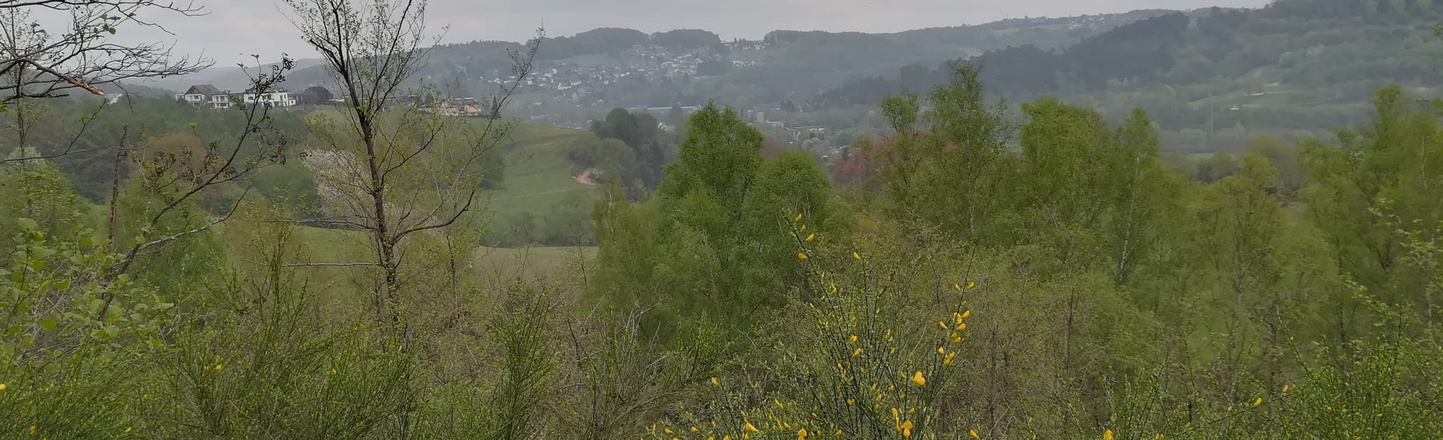 Forsbach Loop: 21 Reviews, Map - North Rhine-Westphalia, Germany ...