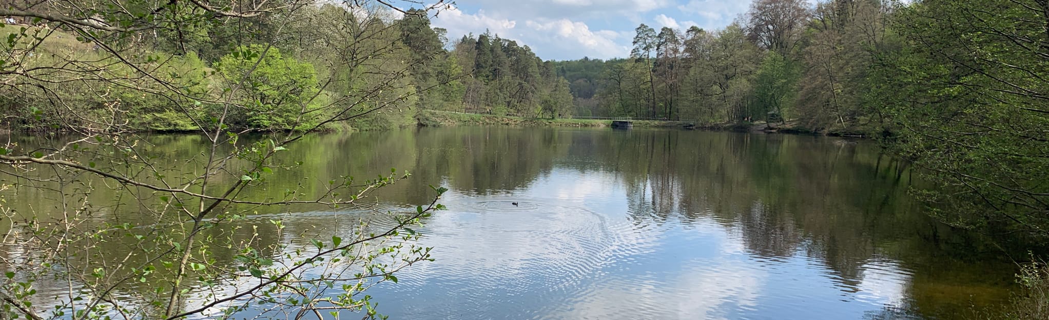 Bärensee - Katzenbachsee - Hölzersee, 37 Fotos - Baden-Württemberg ...