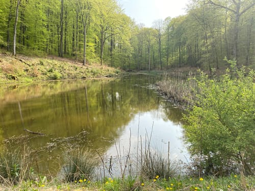 2023 Best Partially Paved Trails in Greiveldange | AllTrails