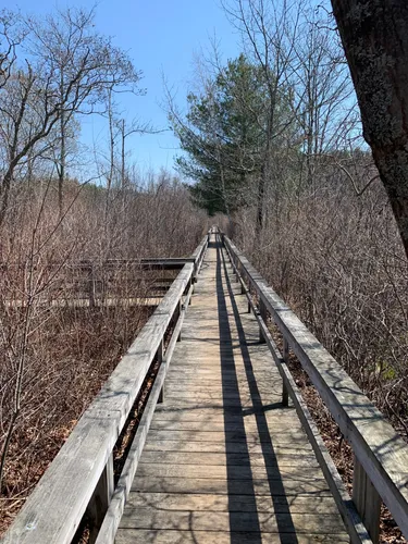 10 Best Trails and Hikes in Manchester | AllTrails