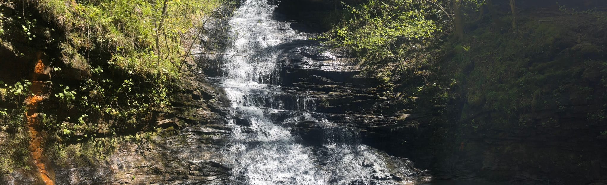 Native American Falls, Arkansas - 89 Reviews, Map | AllTrails
