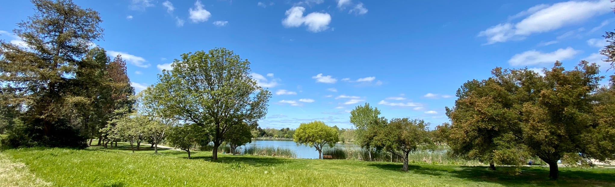 Coyote Creek Parkway: Hellyer County Park to Silver Creek Valley ...
