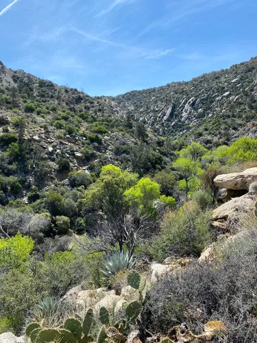 Best Hikes and Trails in Santa Rosa Wilderness | AllTrails