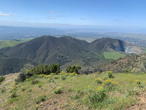 10 Best Hikes and Trails in Mount Diablo State Park | AllTrails