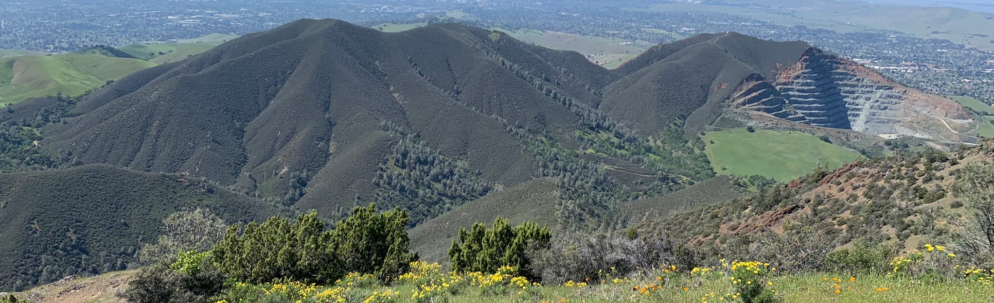 Mitchell Canyon and Eagle Peak Loop: 5.456 fotos - Califórnia | AllTrails