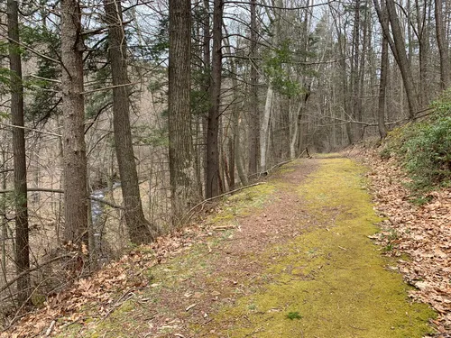 Best Hikes and Trails in Blue Knob State Park | AllTrails