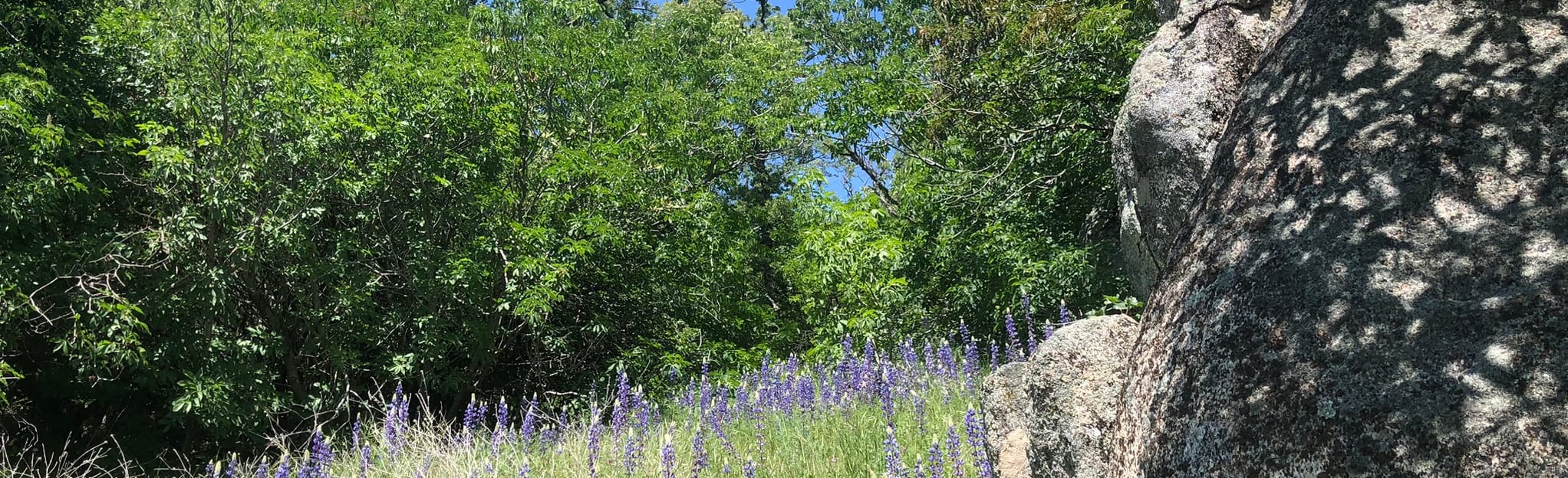 Griffith Quarry Loop, California - 97 Reviews, Map | AllTrails