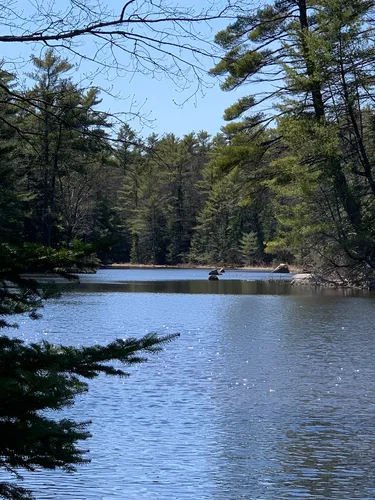 Best Hikes and Trails in Androscoggin Riverlands State Park | AllTrails