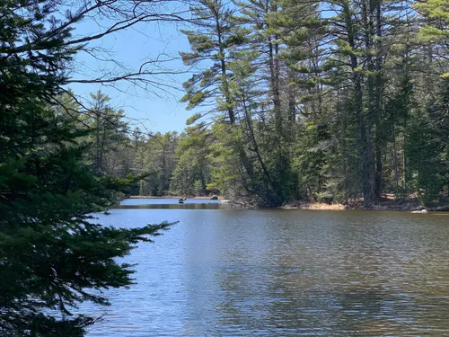 Best Hikes and Trails in Androscoggin Riverlands State Park | AllTrails