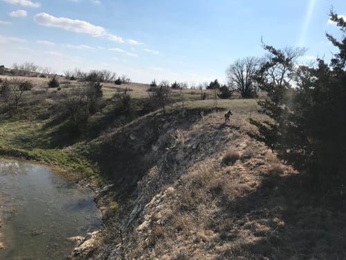 Best Hikes and Trails in Webster State Park | AllTrails