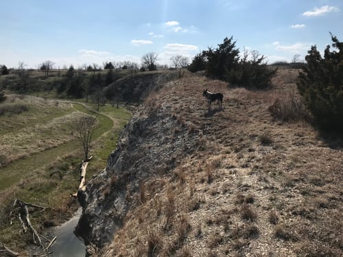 Best Hikes and Trails in Webster State Park | AllTrails