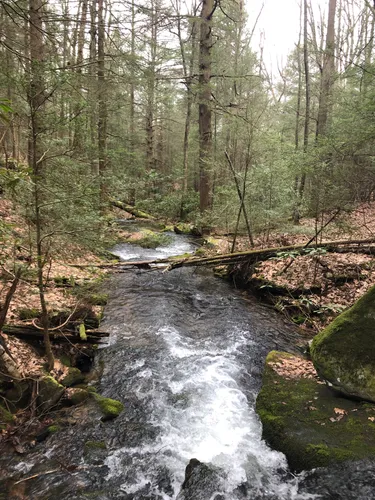 2023 Best Long Trails in Mill Run | AllTrails