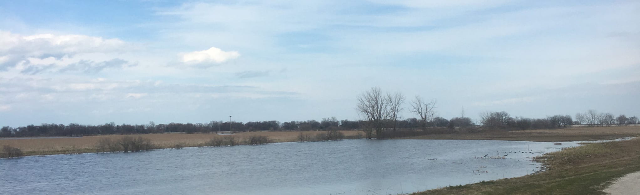 Howard Marsh Egret Trail: 60 Reviews, Map - Ohio | AllTrails