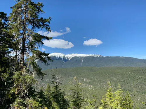 10 Best Walking Trails in Terrace | AllTrails