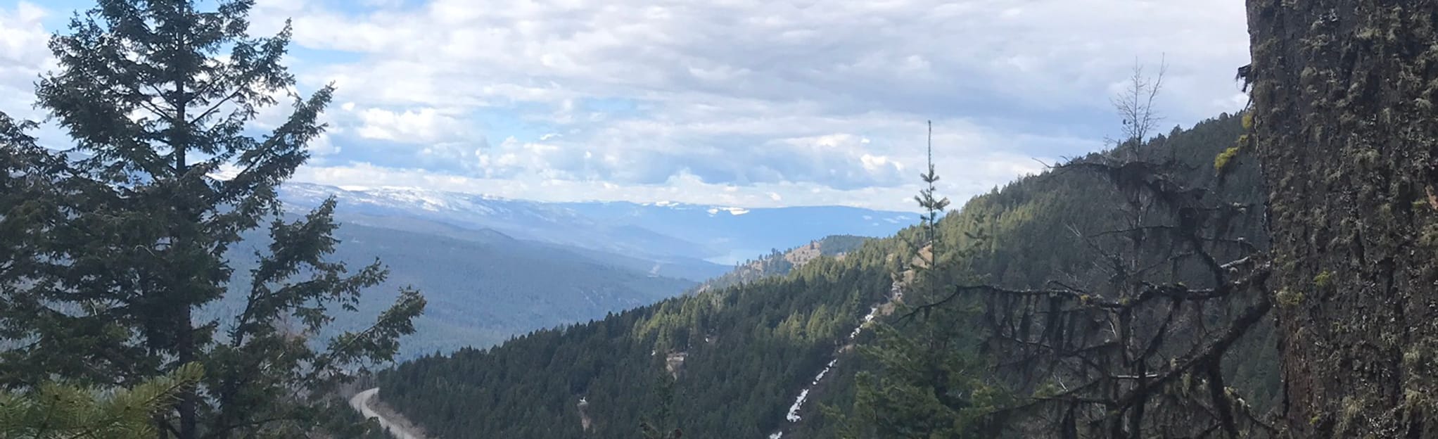 High Rim Trail from Philpott Road - British Columbia, Canada | AllTrails