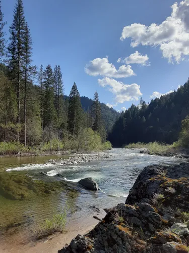 10 Best Trails and Hikes in Nevada City | AllTrails