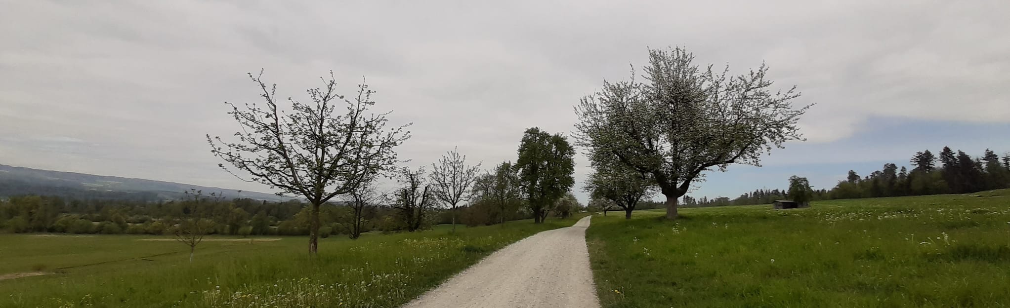 AllTrails | Uttenberg: 3 Reviews, Map - Zurich, Switzerland